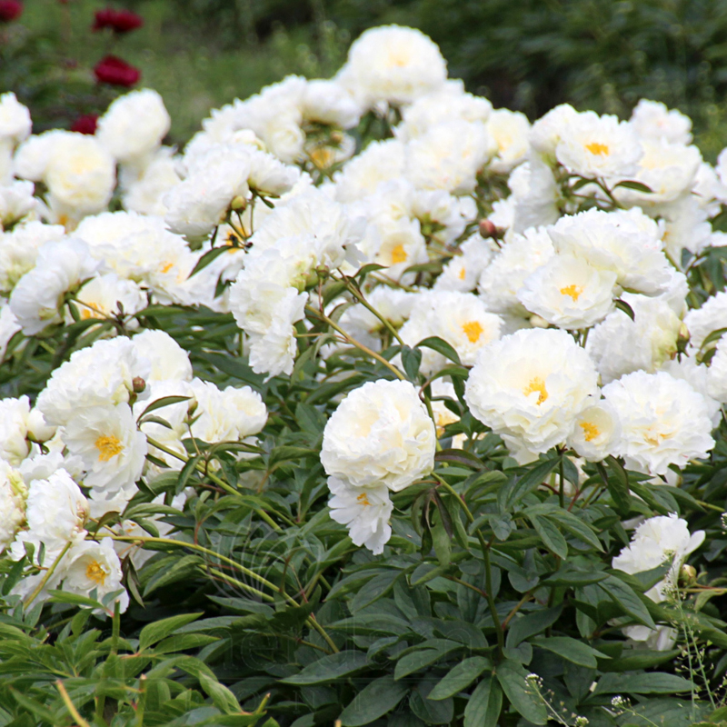 Unable to fetch data.